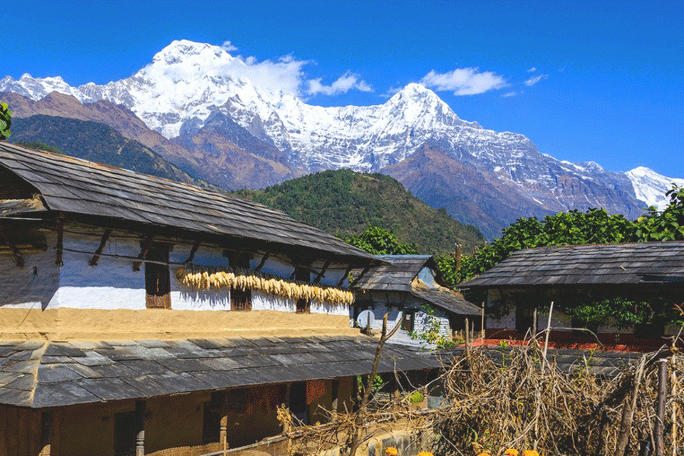 ghandruk nepal pokhara tours.